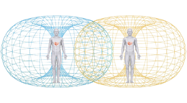 On The Toroidal Field